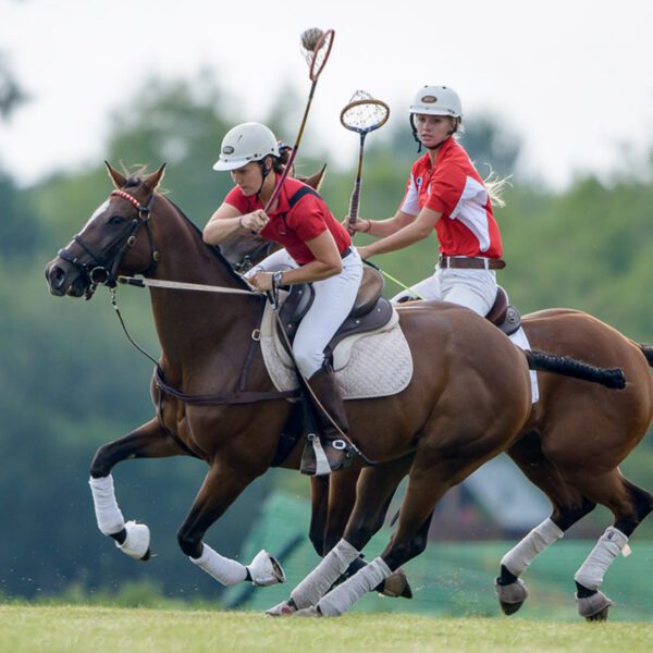 About Polocrosse - American Polocrosse Association