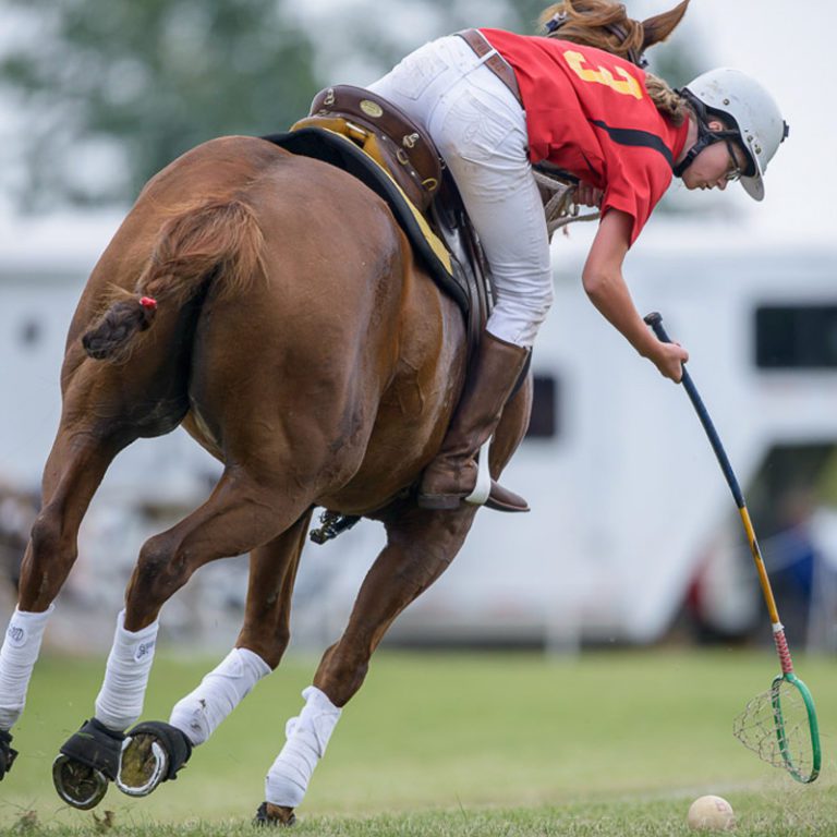 Polocrosse Clubs | Form a Club | American Polocrosse Association