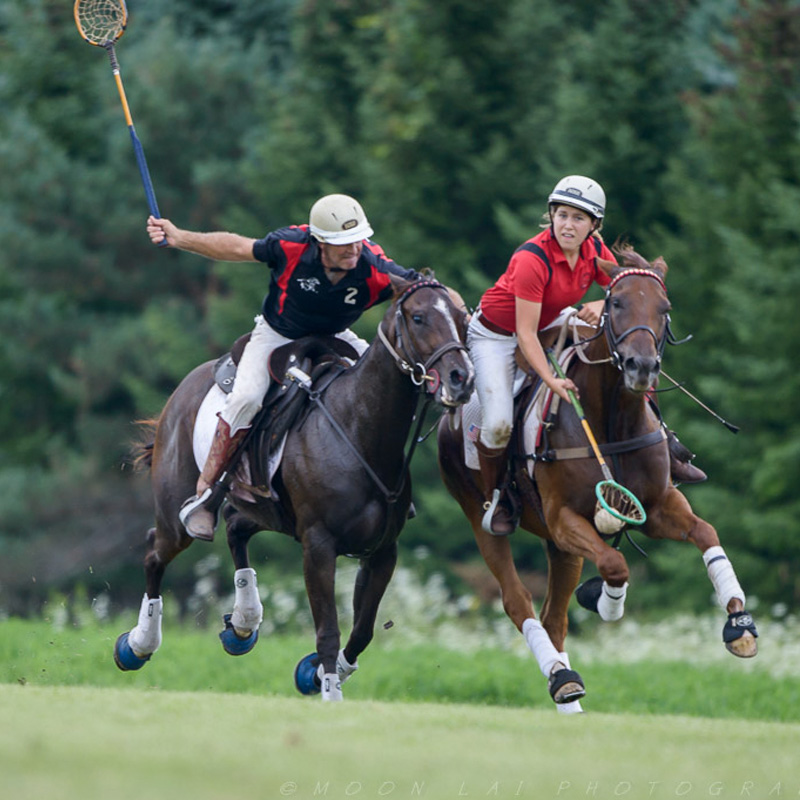 Clarification - American Polocrosse Association