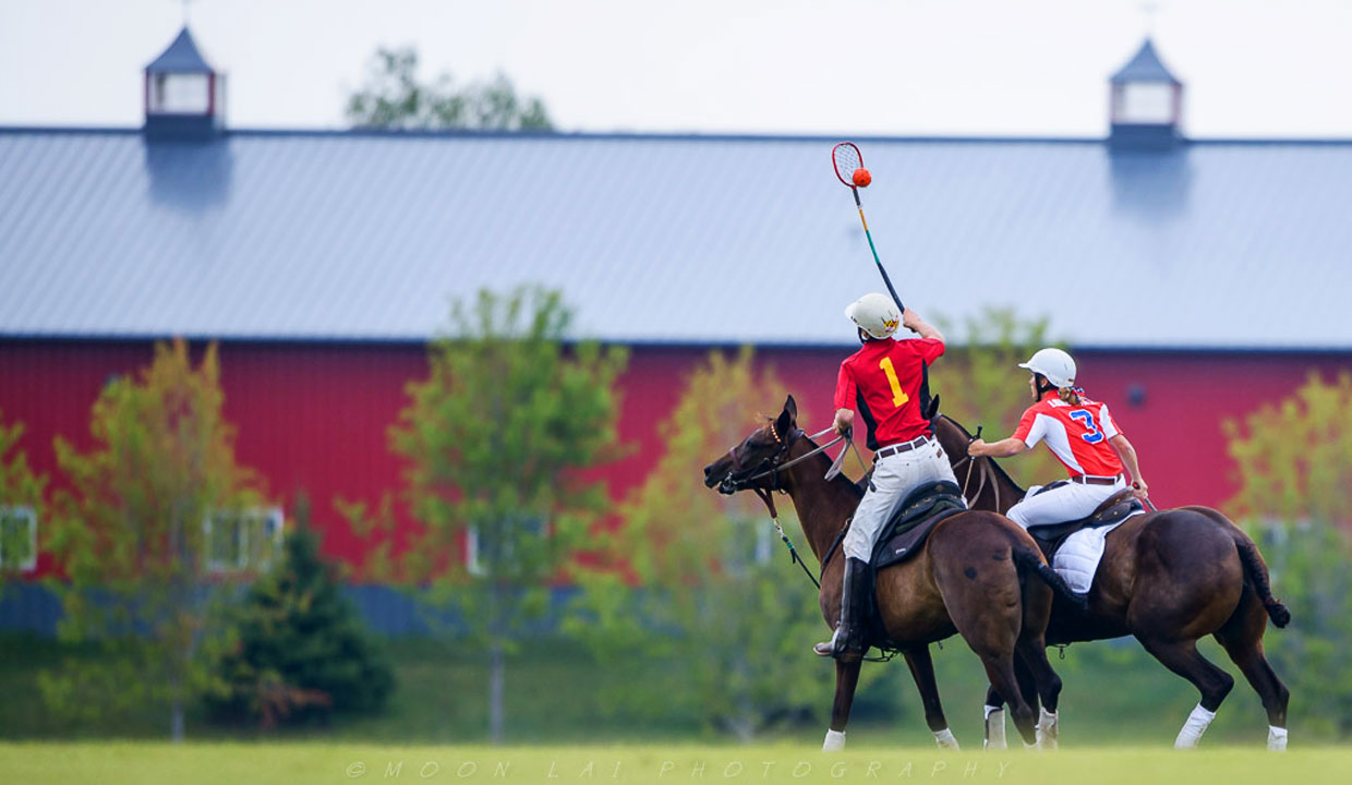 Forms and Documents | The American Polocrosse Association