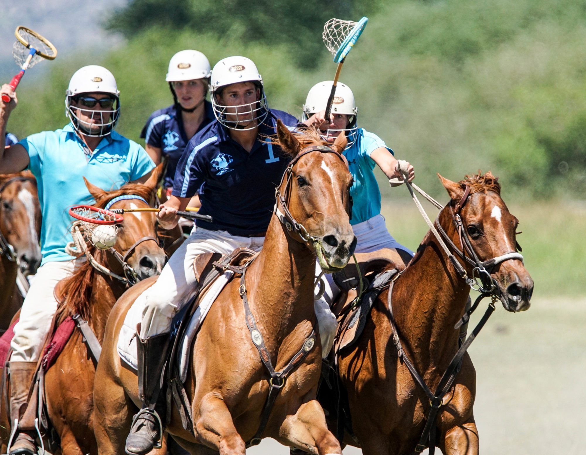 UPDATE ON NATIONALS 2020 - American Polocrosse Association