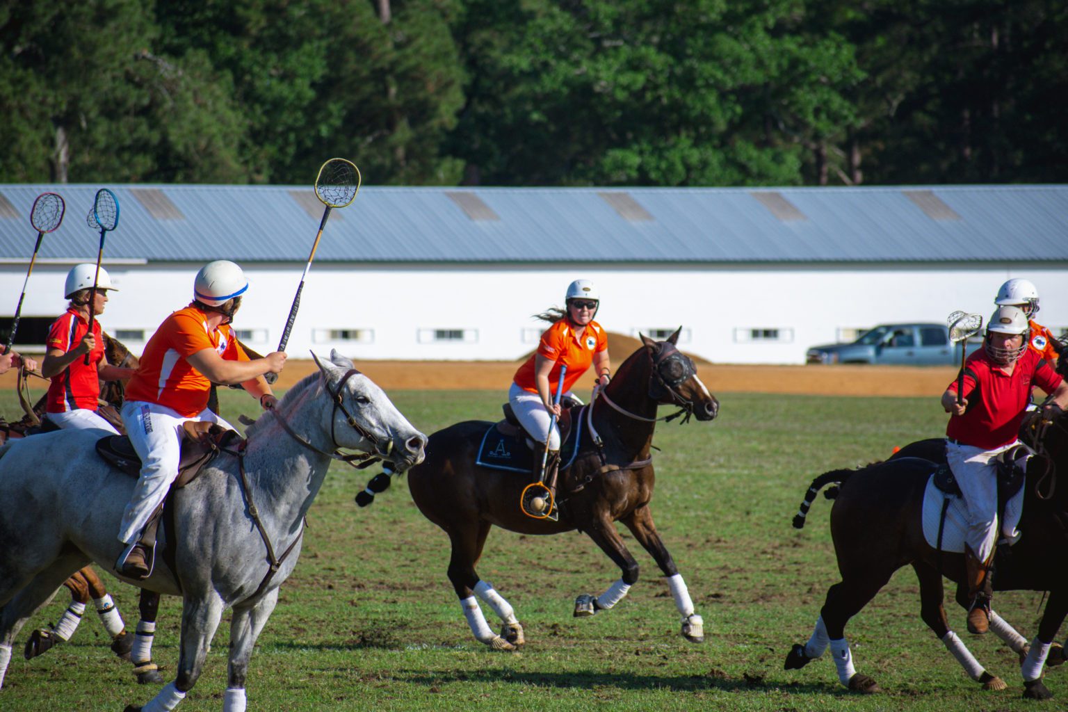DSC_2360 - American Polocrosse Association